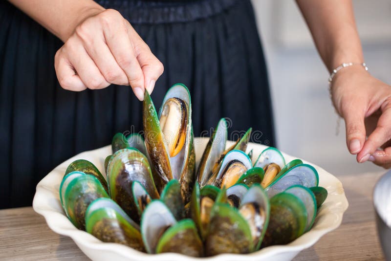 Green shell stock photo. Image of close, life, fish, green - 15004536