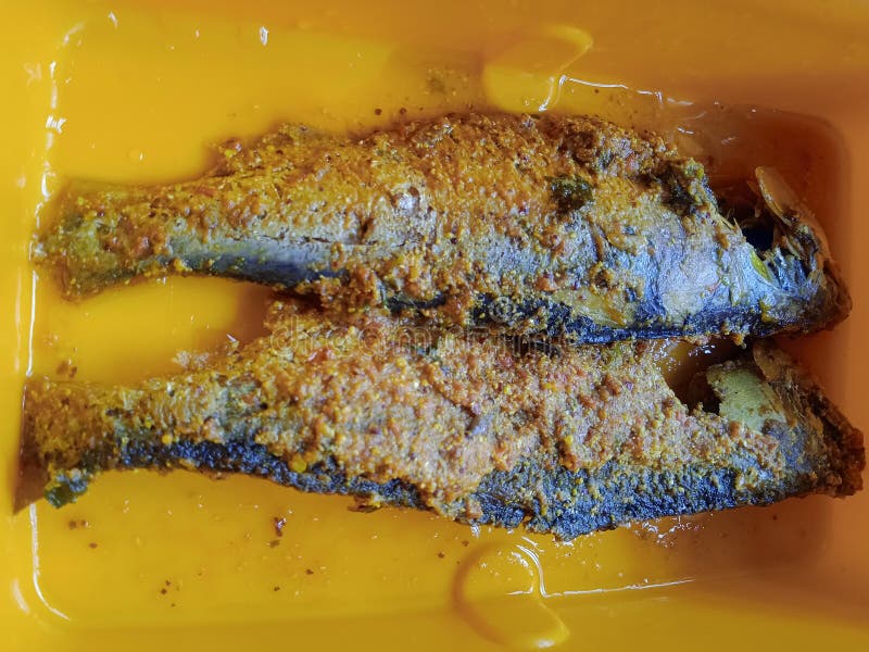 Cooked Hilsa Fish with Mustard Sauce in a Yellow Bowl Stock Image ...