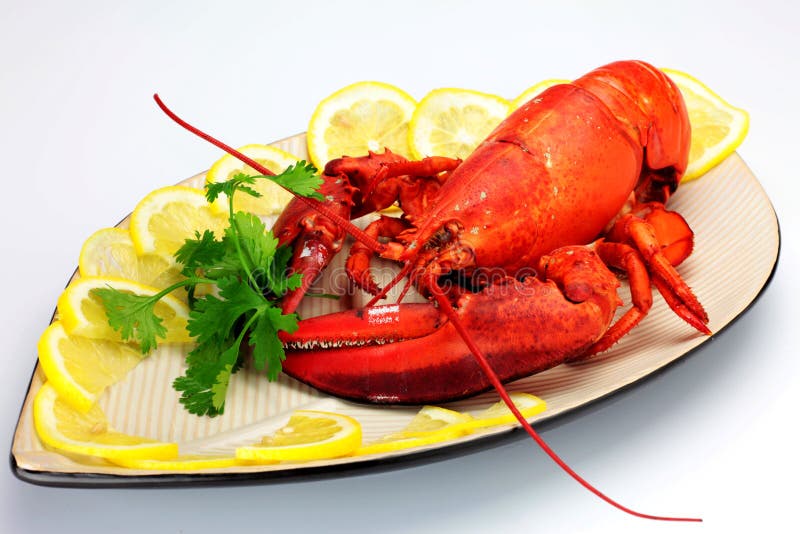 Cooked lobster stock image. Image of nutrition, vegetable - 31244519