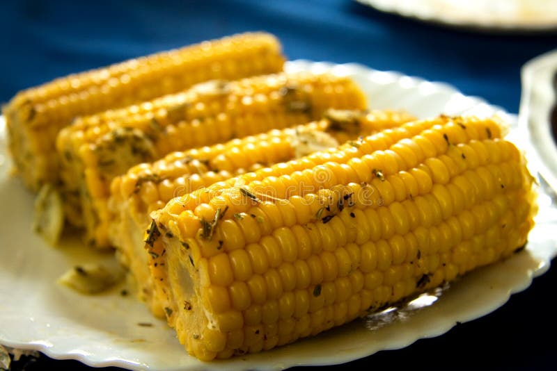 Cooked mais cobs on plate stock photo. Image of mais - 10475862