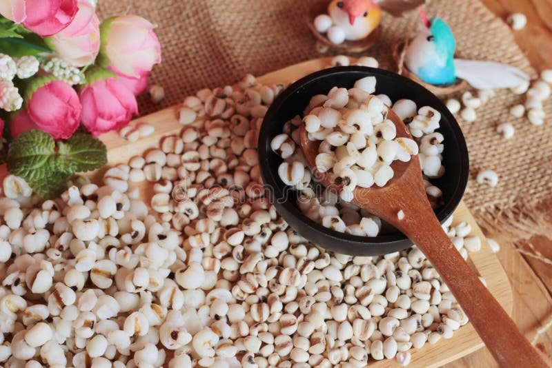 Cooked Millet Seeds and Dried Millet Seeds. Stock Image - Image of seed ...