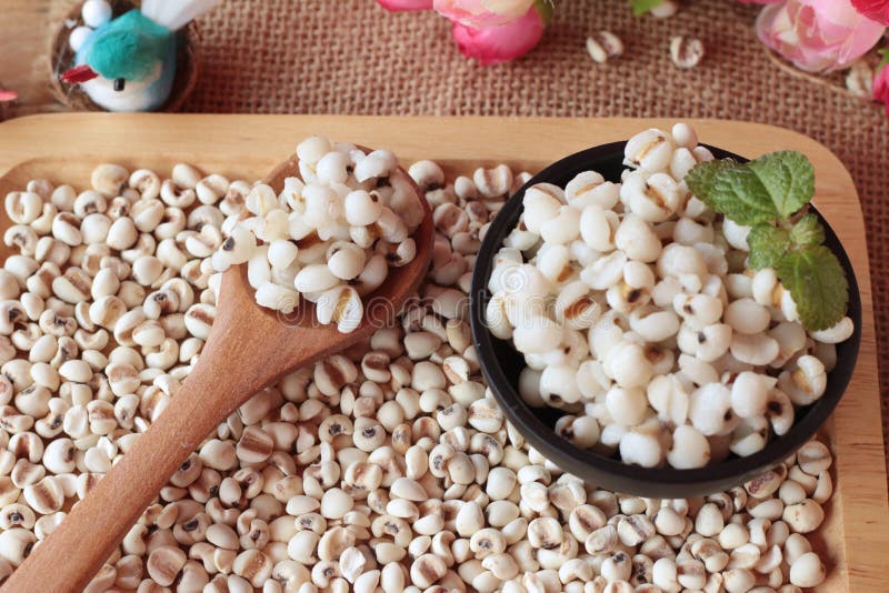 Cooked Millet Seeds and Dried Millet Seeds. Stock Image - Image of ...