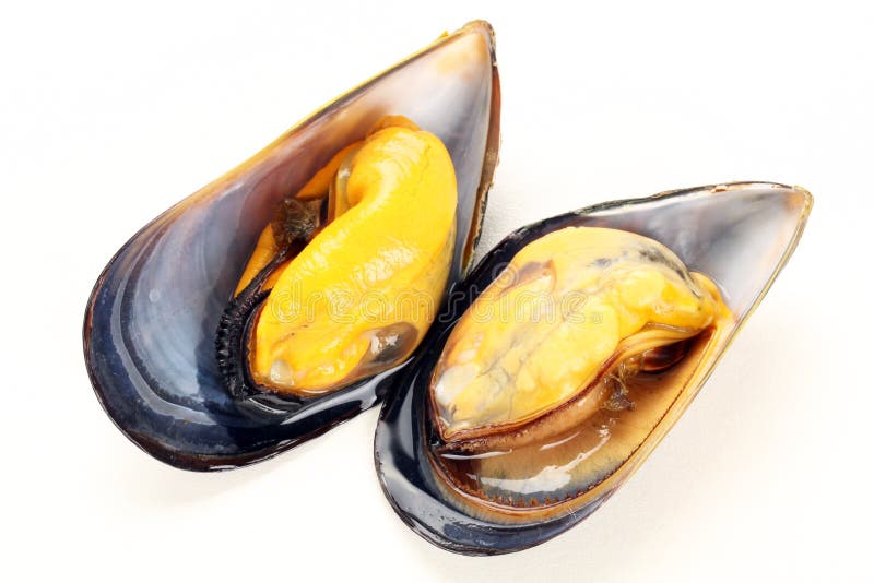 Mussel and lemon stock photo. Image of restaurant, lunch - 2479068
