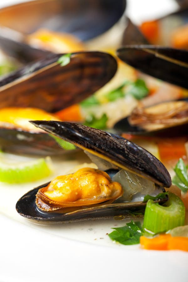 Cooked mussels stock image. Image of food, black, mollusk - 22001529