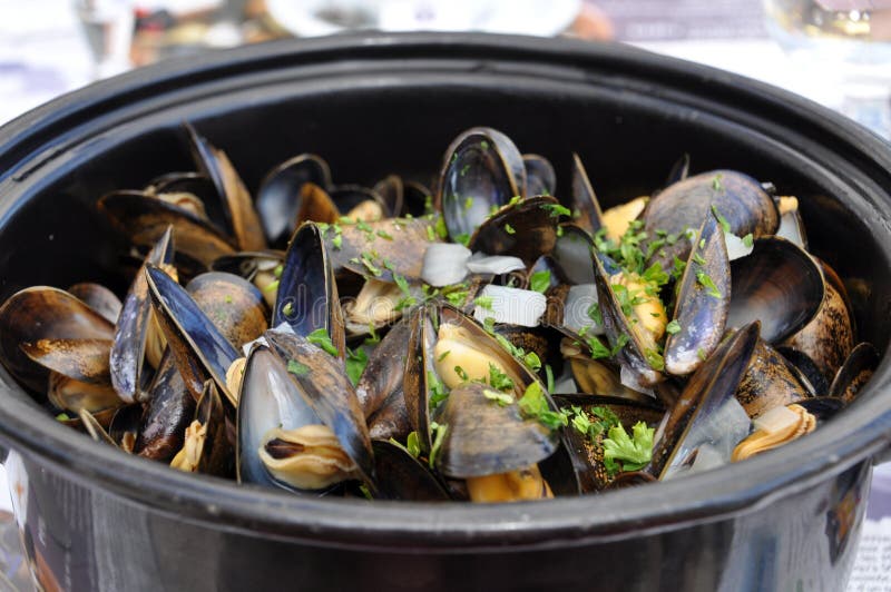 Platter of Mussels stock image. Image of watering, mussels - 1961687