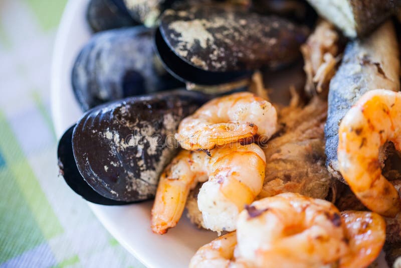 Cooked Mussels, Shrimps, Squid and Fish Stock Image - Image of italian ...