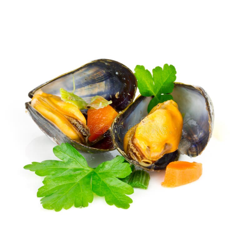 Cooked mussels stock photo. Image of shell, healthy, close - 64827908