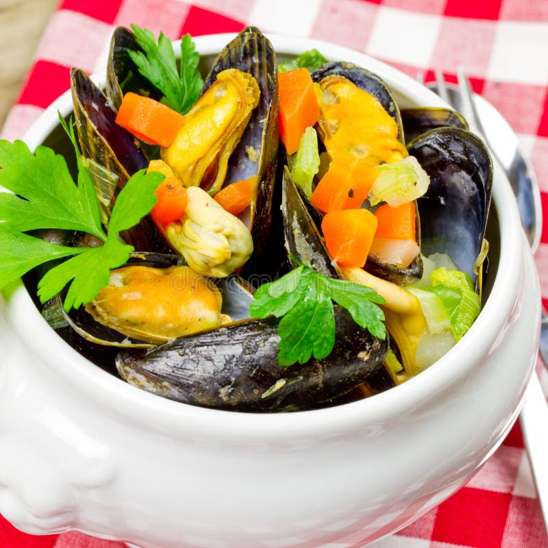 Cooked mussels stock photo. Image of mollusk, fresh, gourmet - 64828402