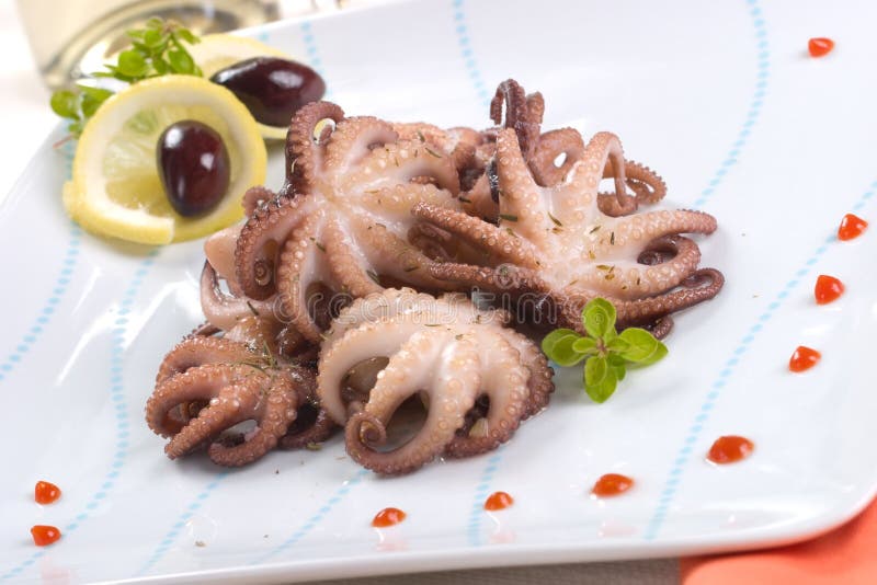Cooked octopus stock image. Image of gourmet, food, prepared - 4284295