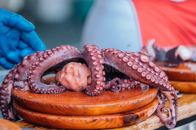 Octopus at a typical fair stock image. Image of seafood - 258986841