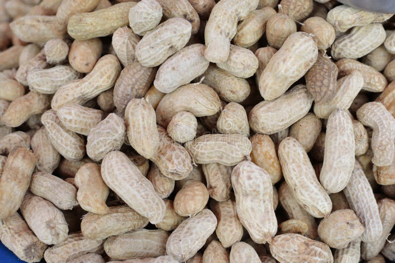 Cooked peanut stock photo. Image of cancer, pattern, prevention - 25149198