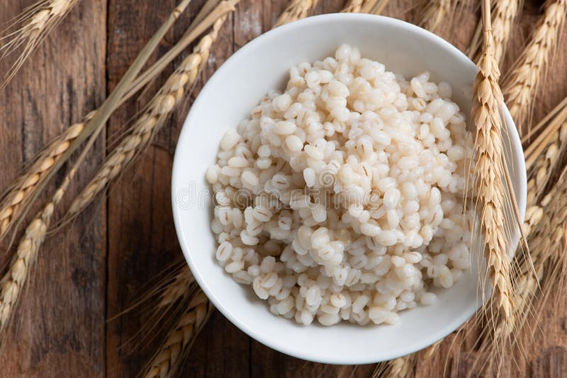 Cooked Peeled Barley Grains in White Bowl Stock Image - Image of grain ...