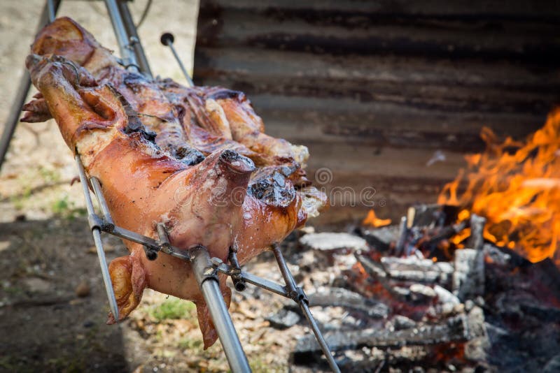 Cooked pig stock photo. Image of roast, steak, skewer - 40326744