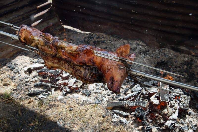 Cooked pig stock photo. Image of tasty, food, steak, pork - 40326752