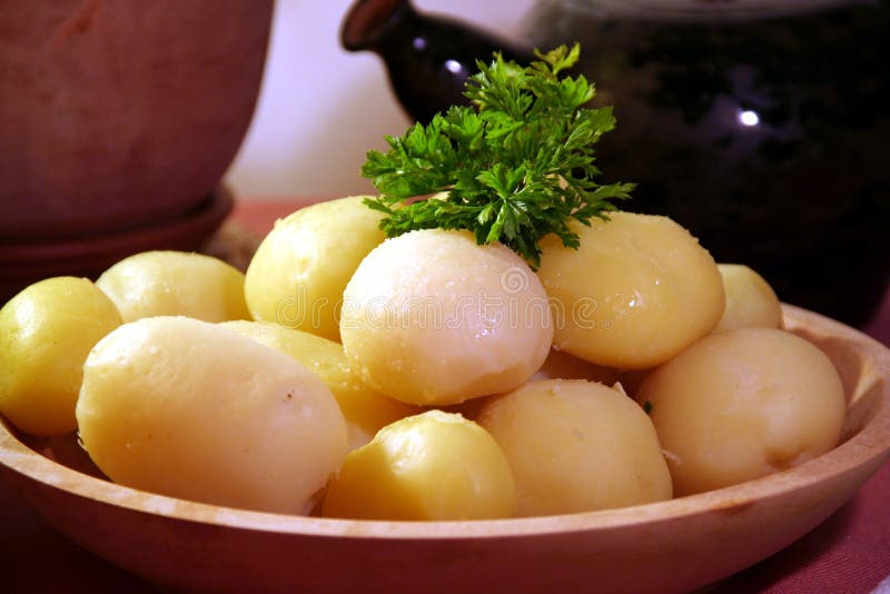 Cooked potato stock photo. Image of eating, famine, frugality - 12033922