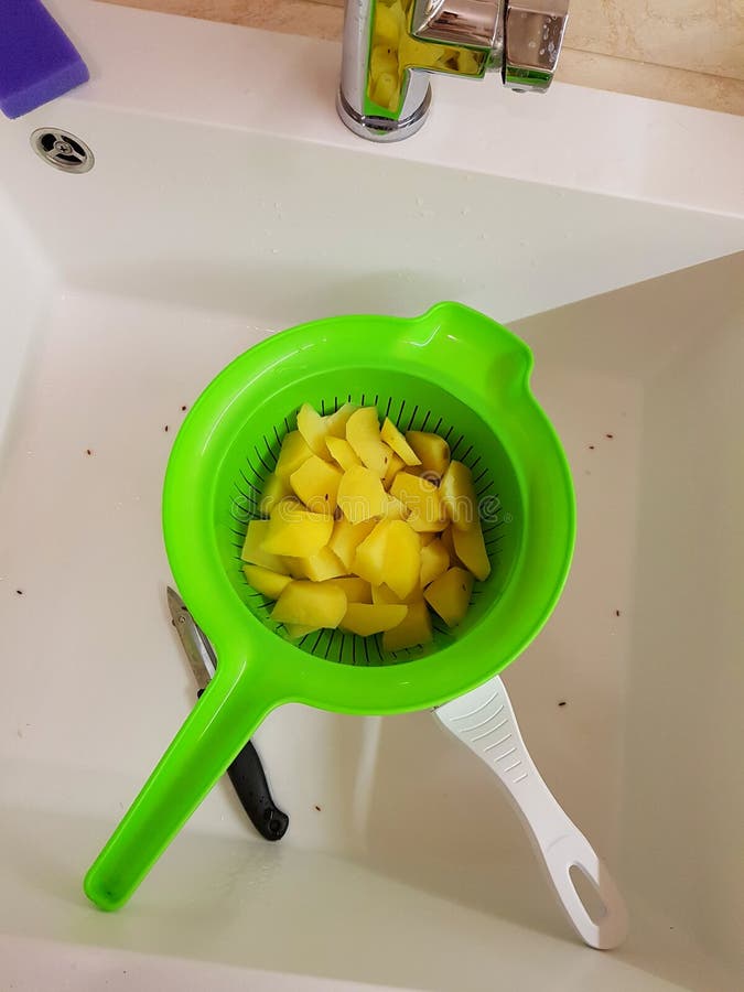 Cooked potatoes stock image. Image of buffet, caraway - 135949687