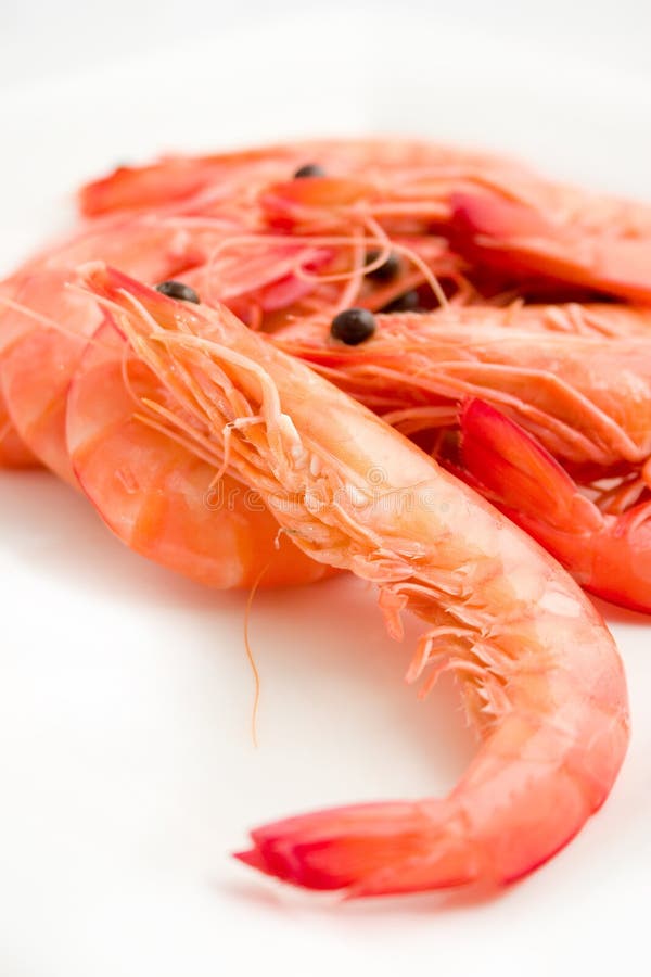 Cooked prawns stock photo. Image of lunch, cooked, healthy - 2354028