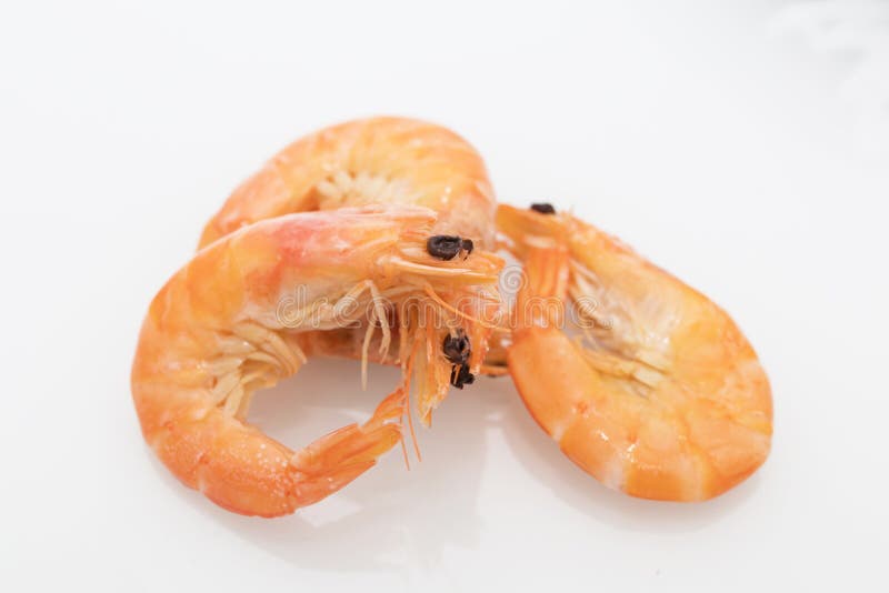 King stock image. Image of success, defend, sheets, domain - 7895355