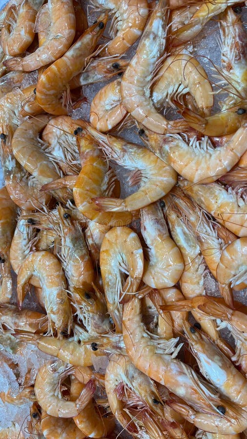 Cooked Prawns at the Market Ready To Take Away Stock Image - Image of ...