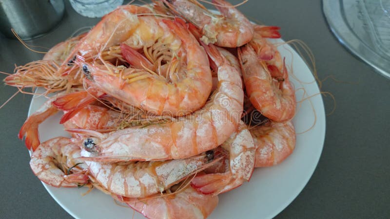 Cooked Prawns stock image. Image of plate, prawns, fresh - 52000003