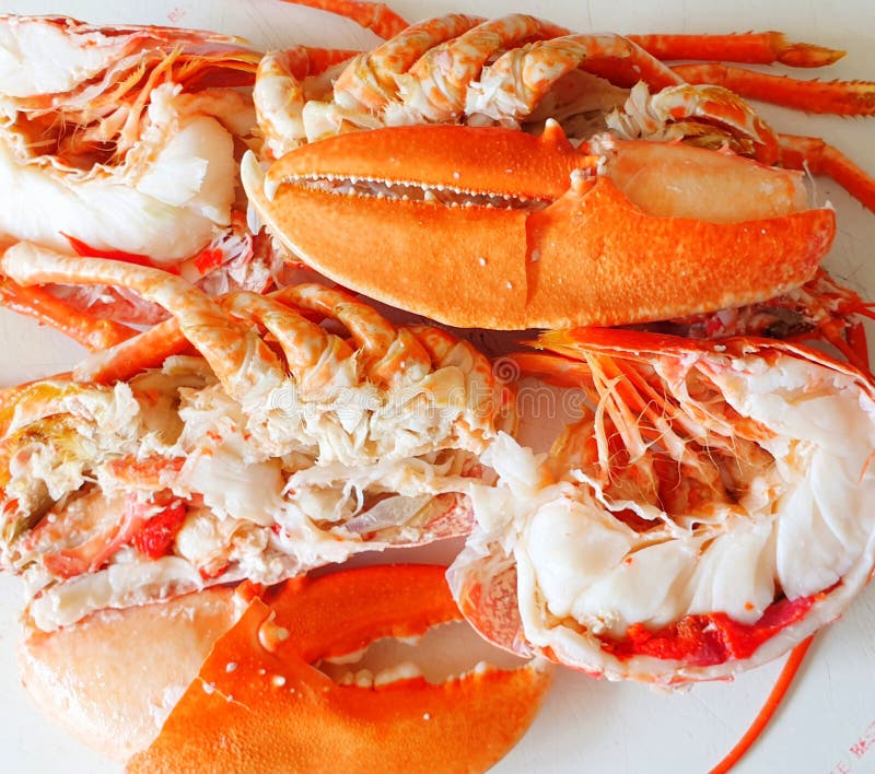 Brett Critchley (Bcritchley) - Photographer profile