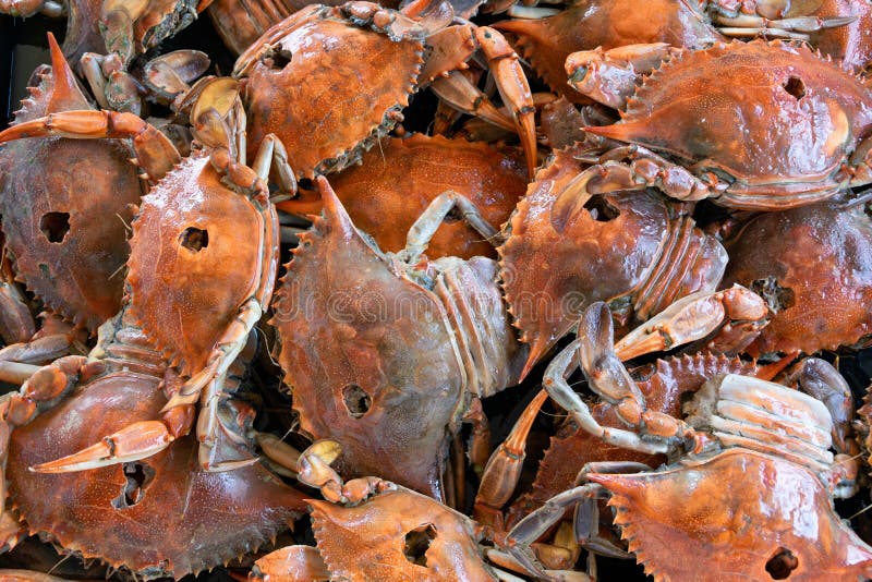 Cooked Red Crabs, Healthy Seafood Stock Image - Image of meat, lobster ...
