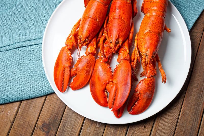 Cooked red Lobsters stock image. Image of life, group - 73071095