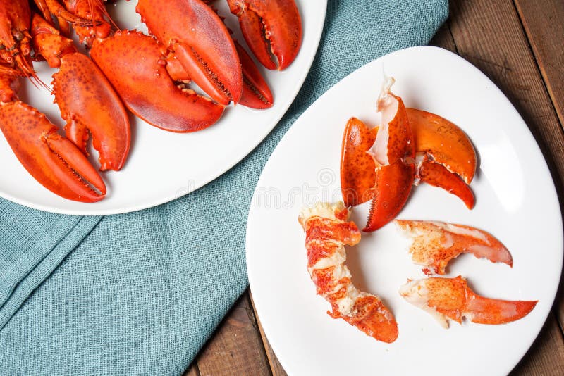 Cooked red Lobsters stock photo. Image of healthy, ingredient - 73257730