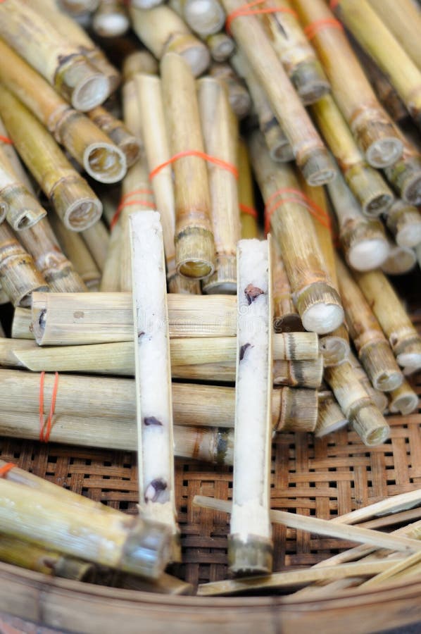 Cooked Rice in Bamboo stock image. Image of market, custom - 219267303
