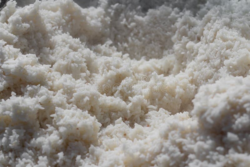 Cooked Rice Close-up Full Image Stock Image - Image of closeup, steamed ...