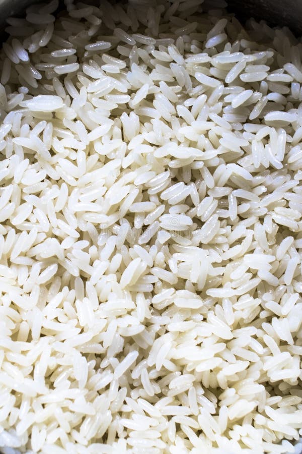 Fresh Cooked Long Rice Texture Stock Image - Image of kitchen, white ...
