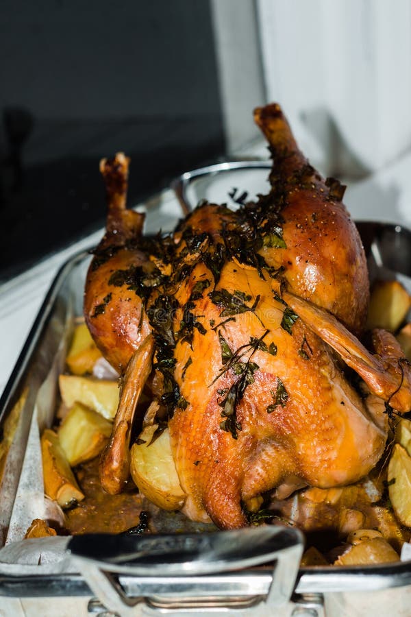 Roast chicken in pan stock photo. Image of gold, gourmet - 155777362
