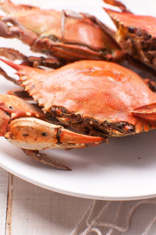 Cooked rock crab stock photo. Image of crab, meal, drink - 28817020