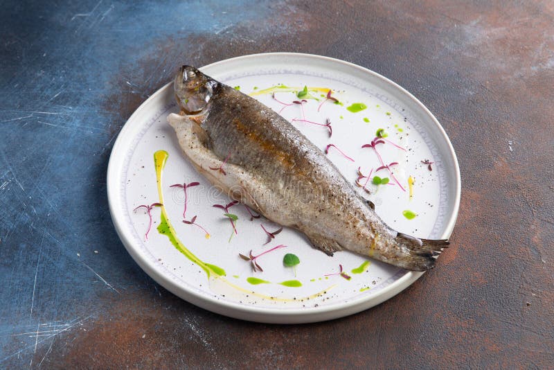 Cooked Sea Bass Fish Fillet Stock Photo - Image of couscous, meal ...