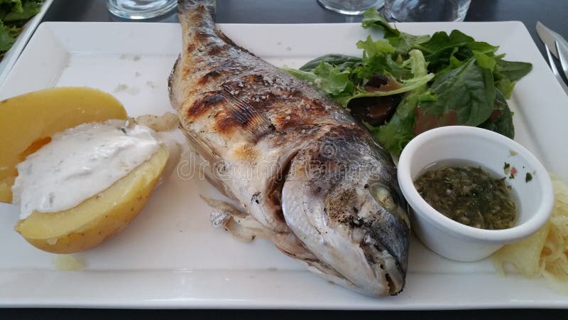 Cooked sea bream stock image. Image of herb, left, chive - 125185955