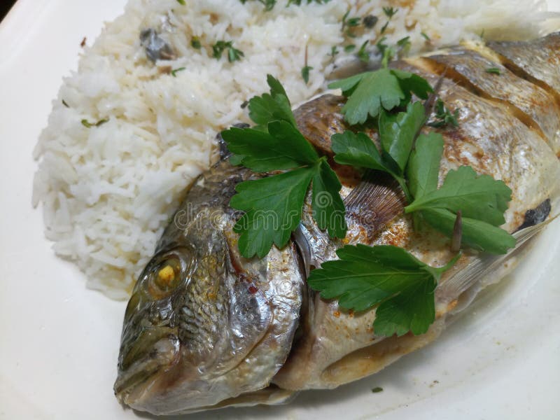 Cooked Sea Bream and White Rice Stock Image - Image of plate, bream ...