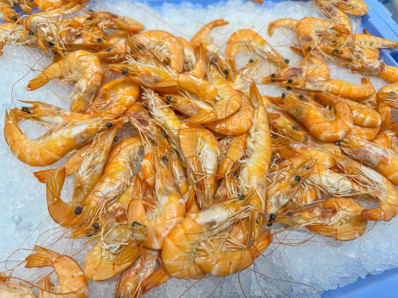 Cooked Seafood Prawns Store Counter Ice Stock Photos - Free & Royalty ...