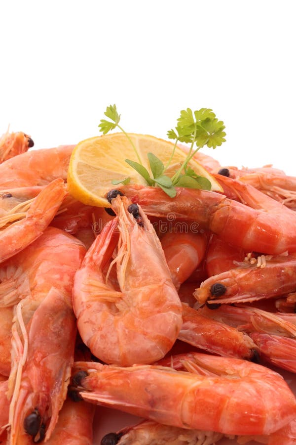 Cooked shrimp stock image. Image of healthy, lemon, appetizer - 19133789