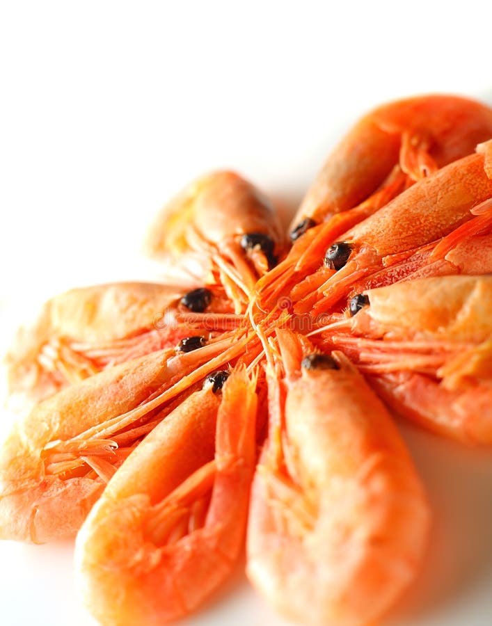 Cooked shrimp stock photo. Image of crustacean, cooked - 19372118