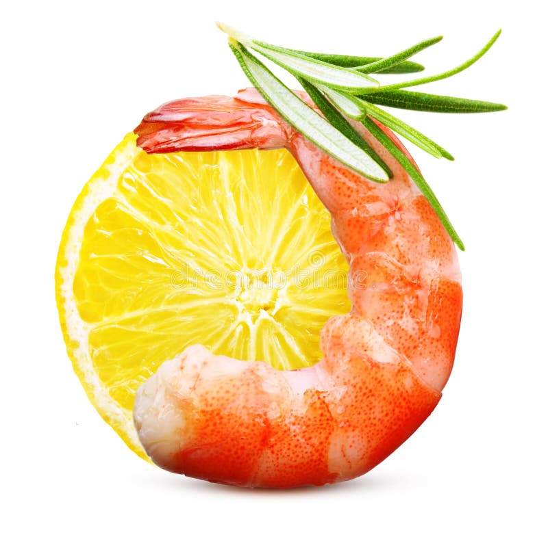 Cooked shrimp isolated stock image. Image of cooked, protein - 47585519