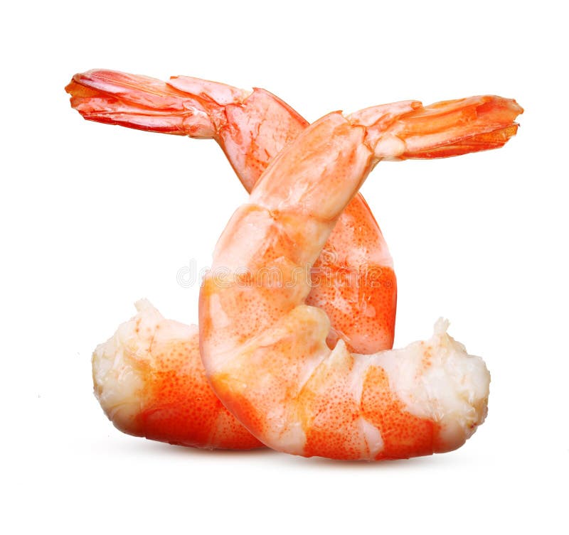 Cooked shrimp isolated . stock image. Image of cuisine - 41226061