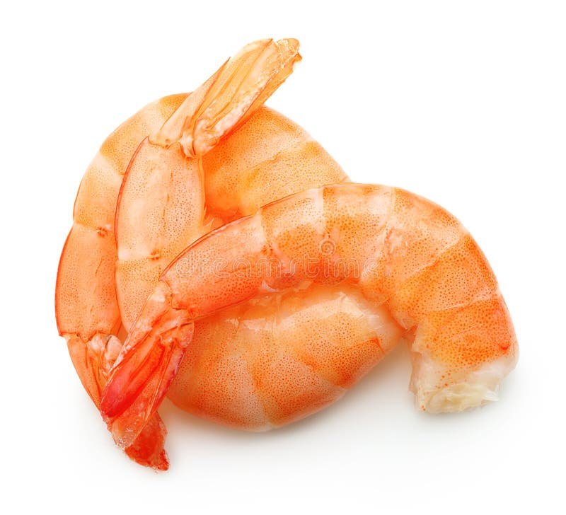 Cooked shrimp isolated stock image. Image of cooked, protein - 47585519