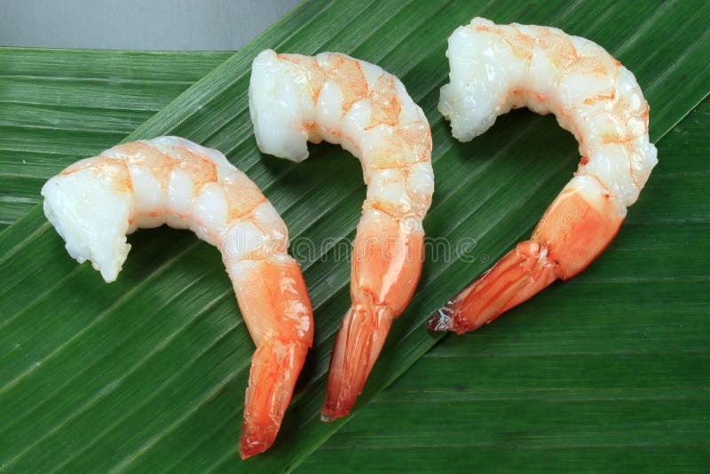 Shrimp s tail stock image. Image of cooked, seafood, shellfish - 11522087