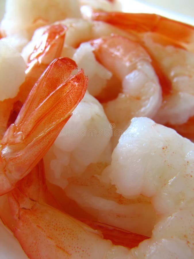 Cooked Shrimps stock photo. Image of meal, cookout, food - 422744