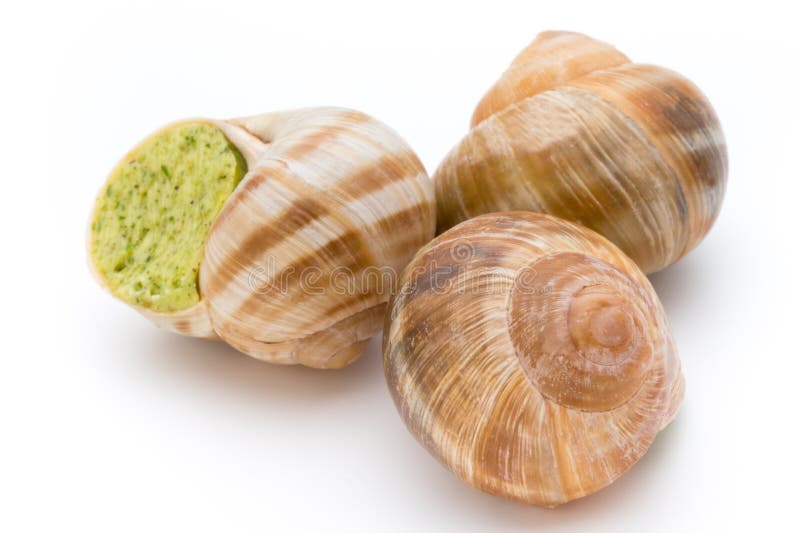 Cooked Snails Delicacy. French Cuisine Stuffed Snails. Stock Photo ...