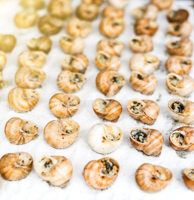 Cooked snails with sauce stock photo. Image of meal, cooking - 75529170