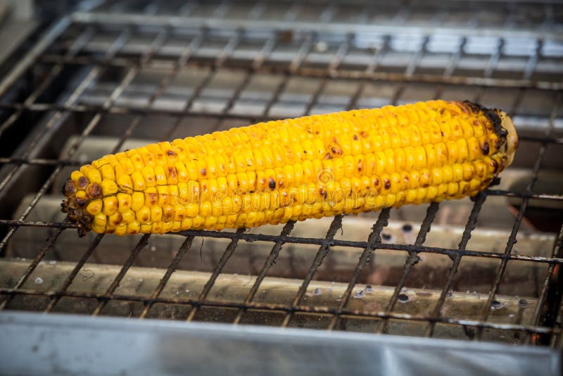 A Cooked Sweet Corn is Ready To Eat Stock Image - Image of barbecue ...