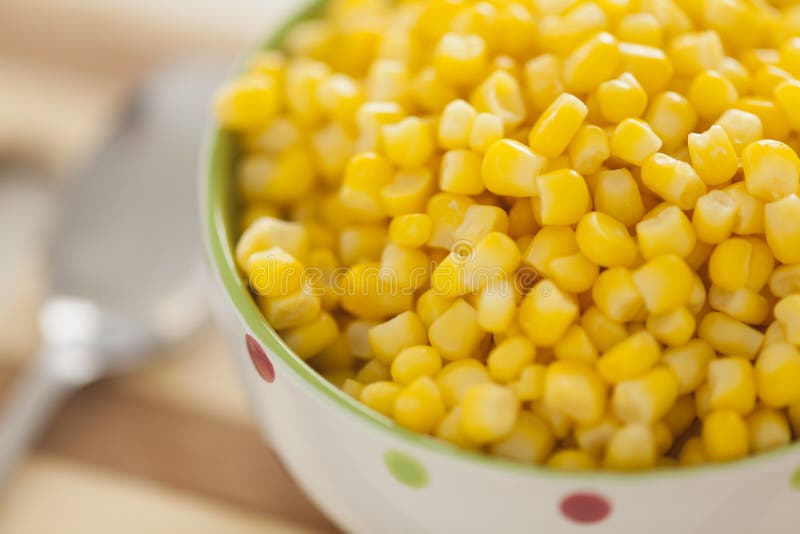Cooked sweetcorn stock photo. Image of bowl, food, vegetable - 46088622