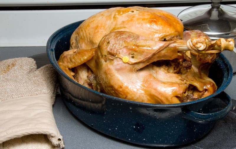 Deep Fat Fried Turkey stock image. Image of brown, cook - 22403549