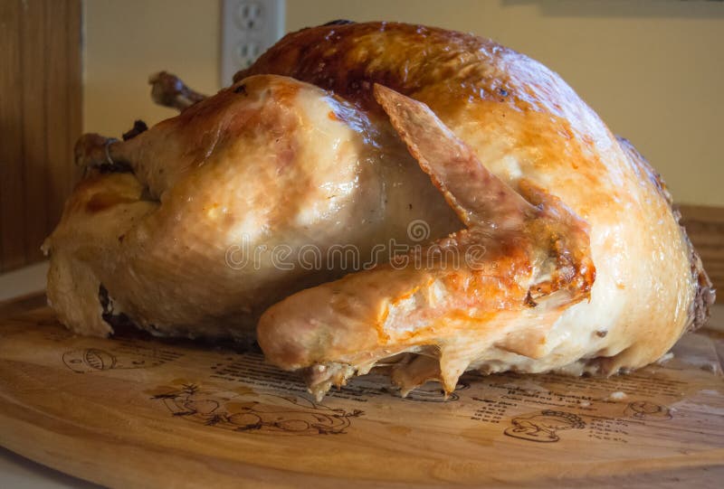 Cooked Turkey stock image. Image of tight, meat, wing - 66528439
